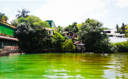 HABHub: HAB Observing System