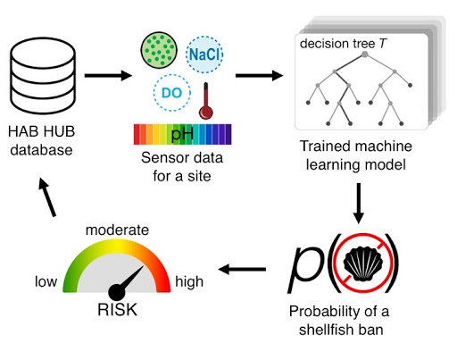 HABHub: HAB Observing System